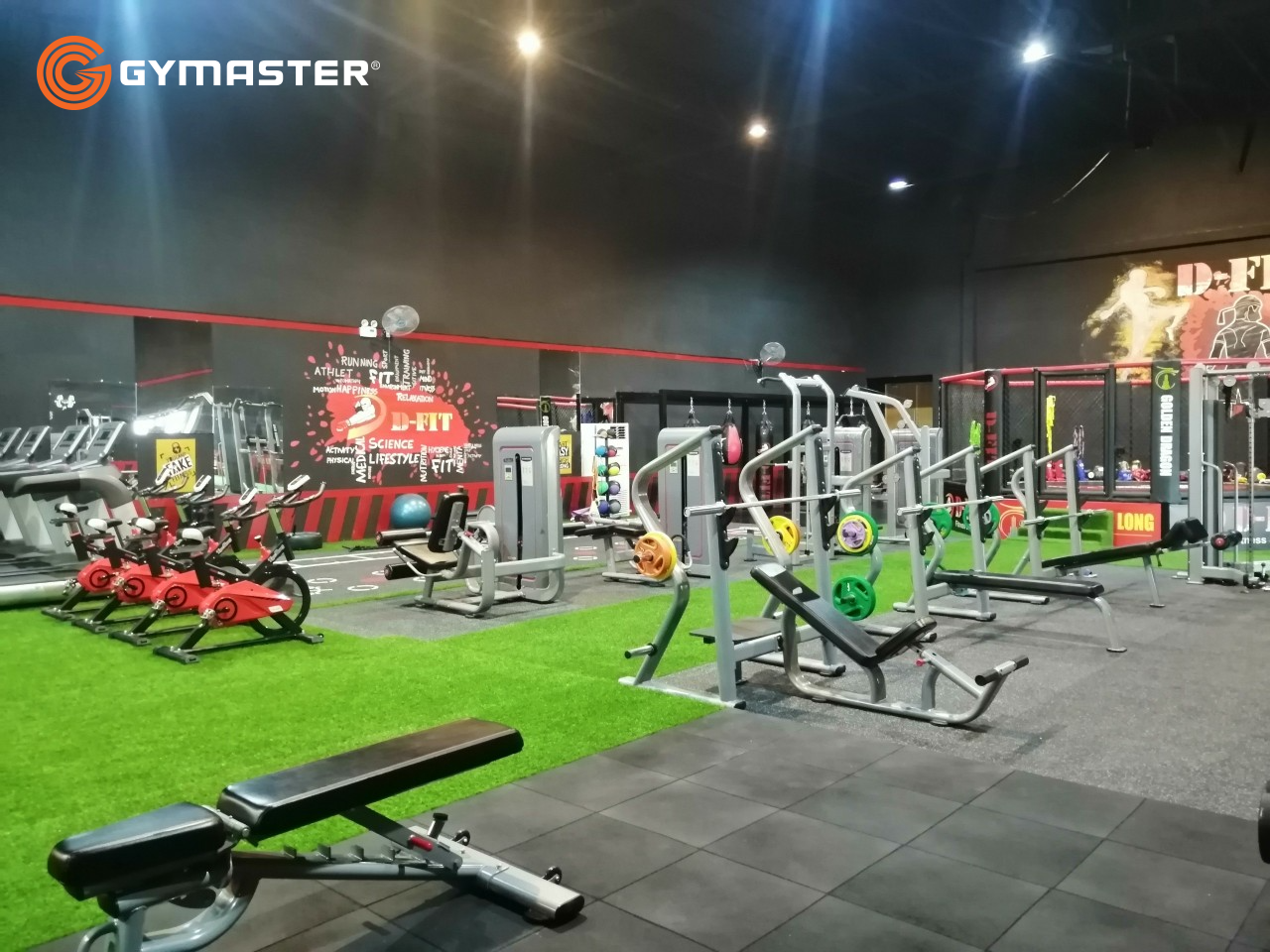 SETUP PHÒNG GYM DỰ ÁN GYM D-FIT KIM LONG | GYMASTER.VN