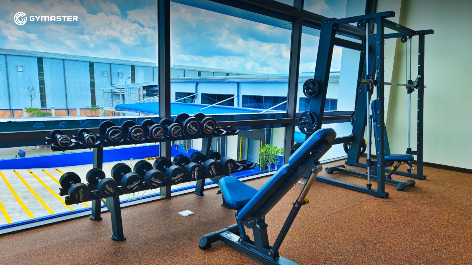 SETUP PHÒNG GYM DỰ ÁN CÔNG TY SPARTRONICS | GYMASTER.VN