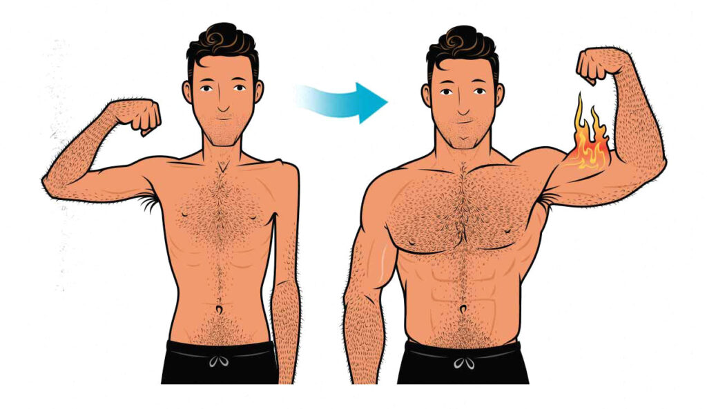 Mass Tăng Cân Là Gì: Phải Hiểu Hết Trước Khi Dùng - Gymaster